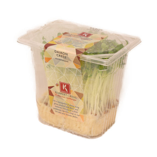 Kaiware Radish Sprout – DainobuNYC